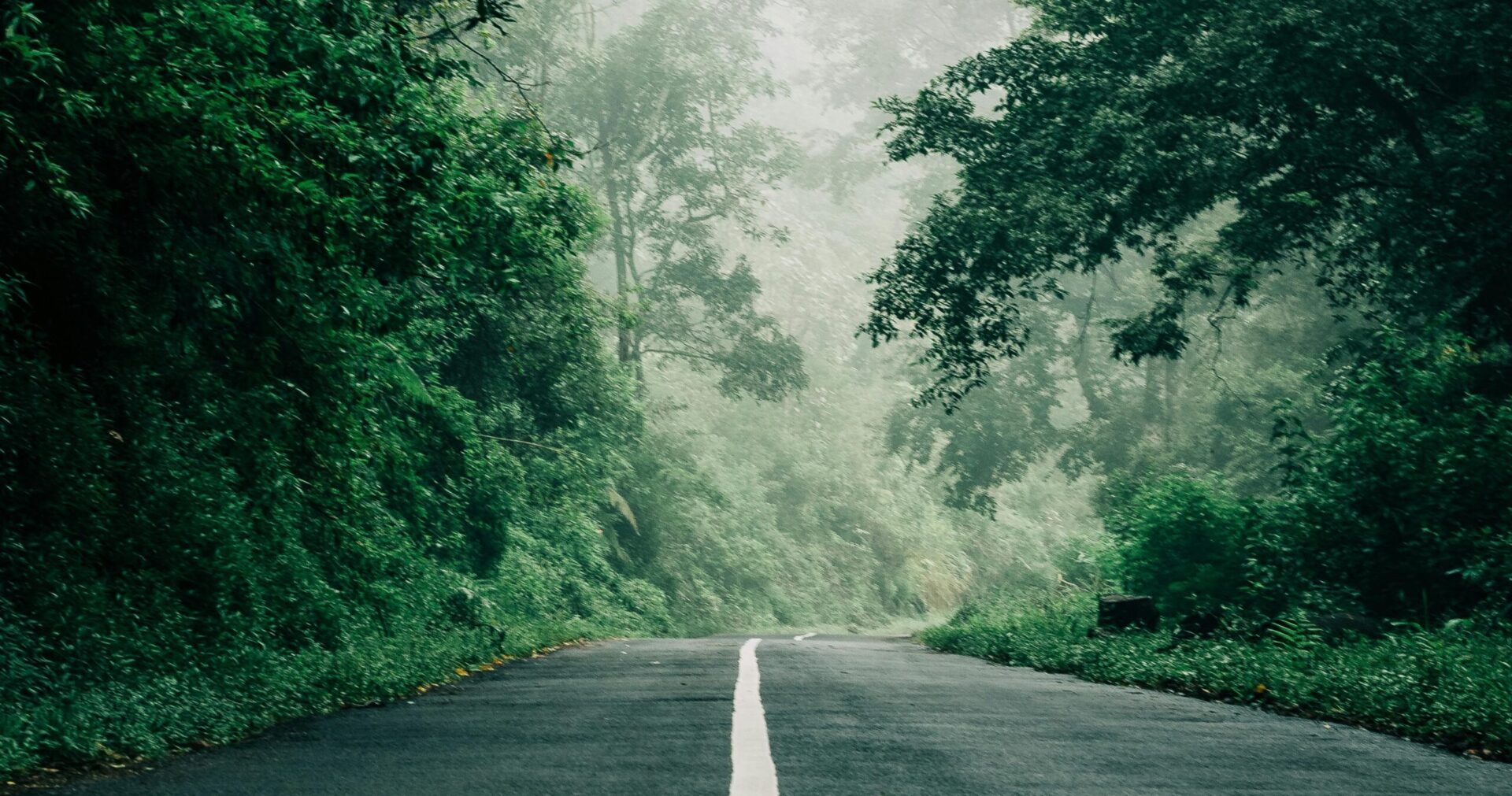 LCA vs. EPD vs. PCF: An Overview